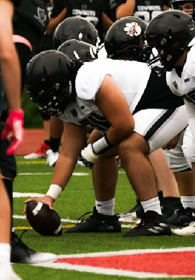 Daniel Aminipakdaman, - Prep Redzone